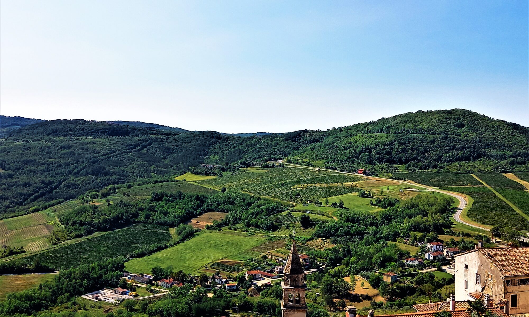 Istria – półwysep sybarytów – Wino ze Smakiem